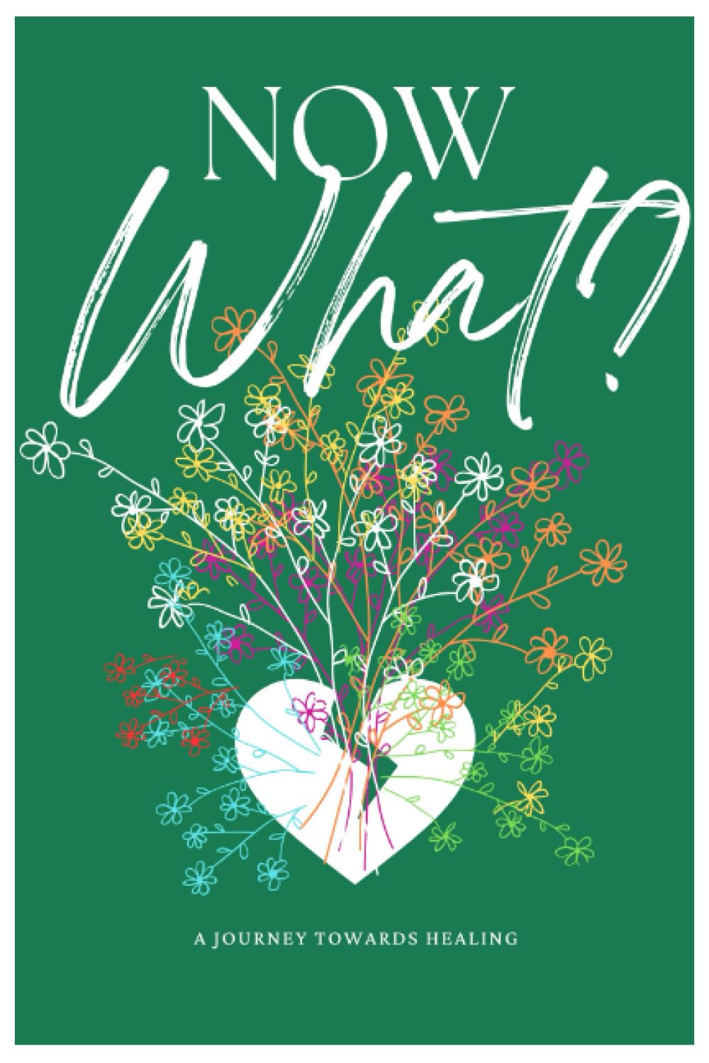 NOW WHAT?: A journey towards healing: Herman, Shenelle: Amazon.com: Books