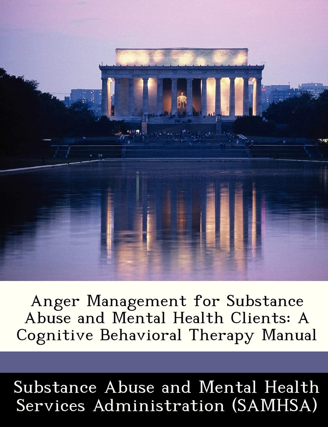 Anger Management for Substance Abuse and Mental Health Clients: A ...