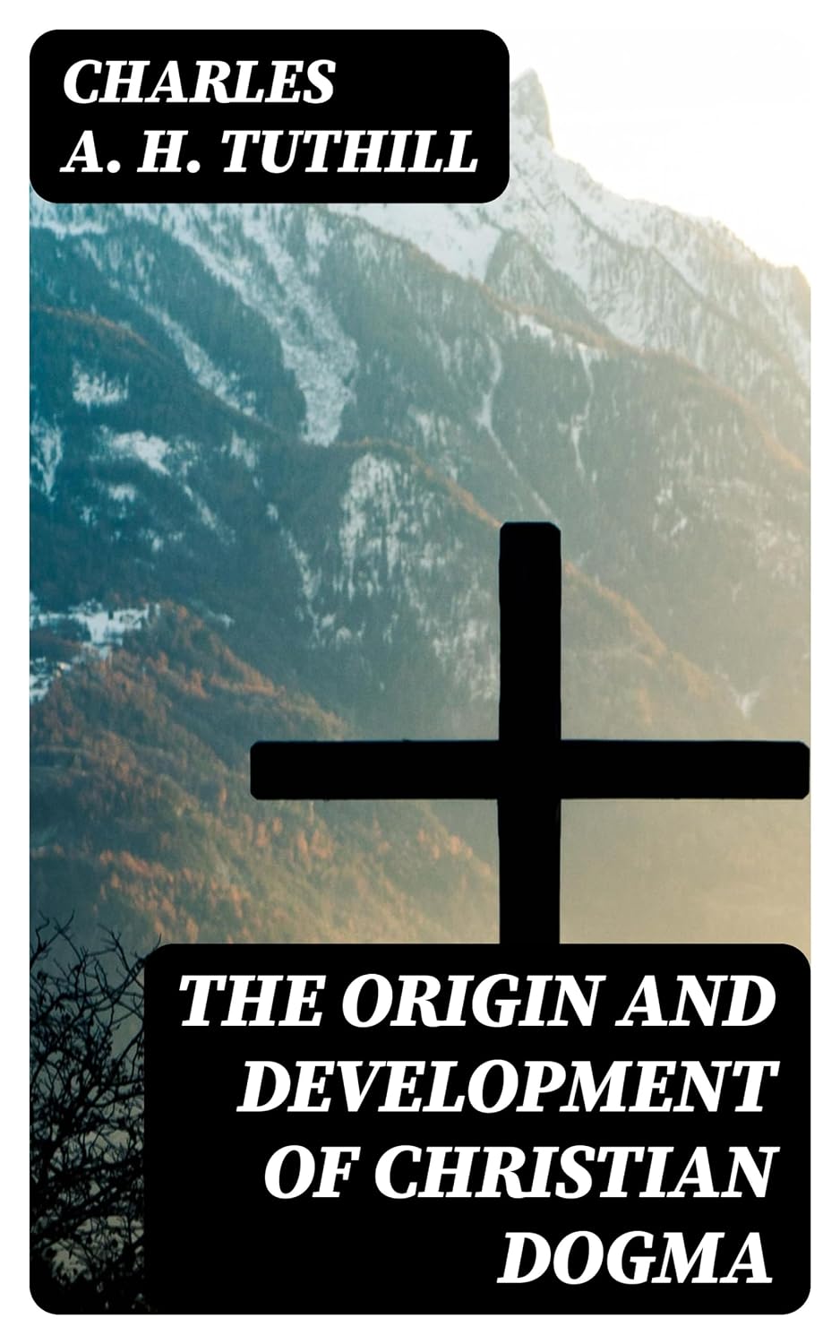 Amazon.com: The Origin and Development of Christian Dogma: An essay in ...