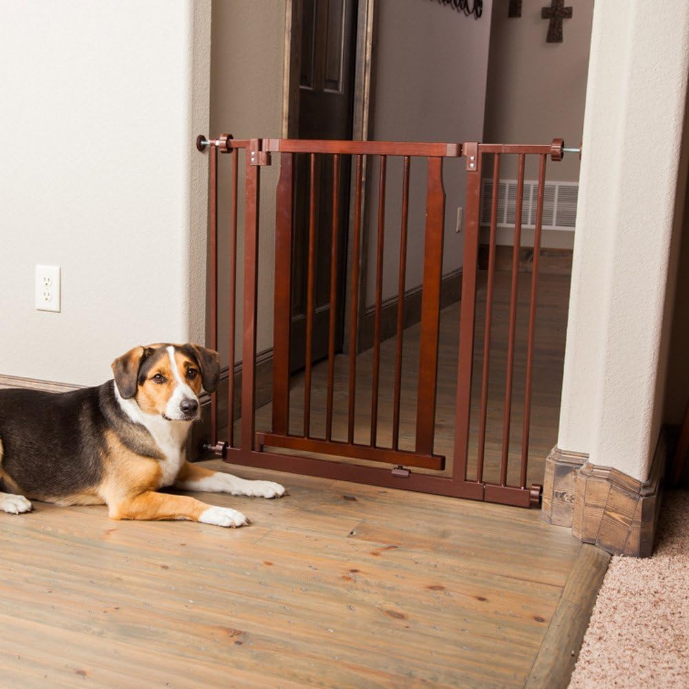 Amazon.com: Skymall Collection Auto Close Pressure Mount Pet Gate : Pet ...