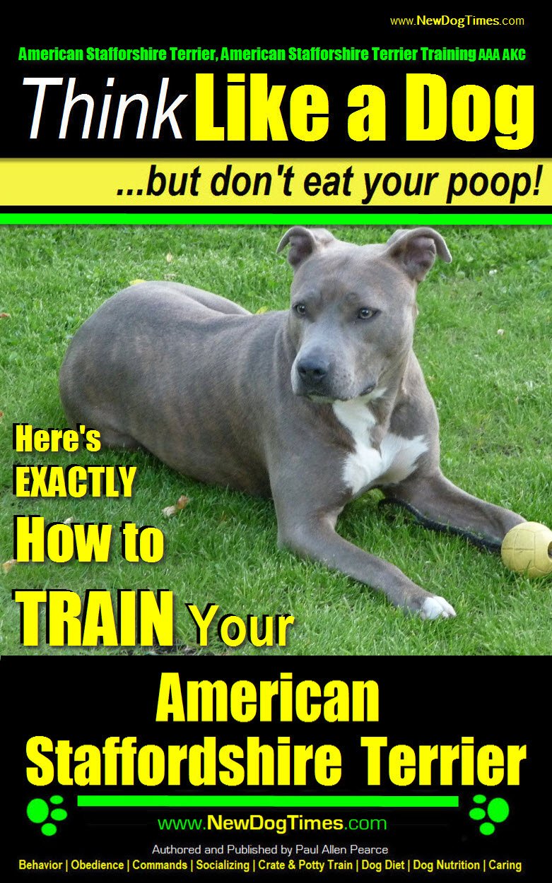 Amazon.com: American Staffordshire Terrier, American Staffordshire ...