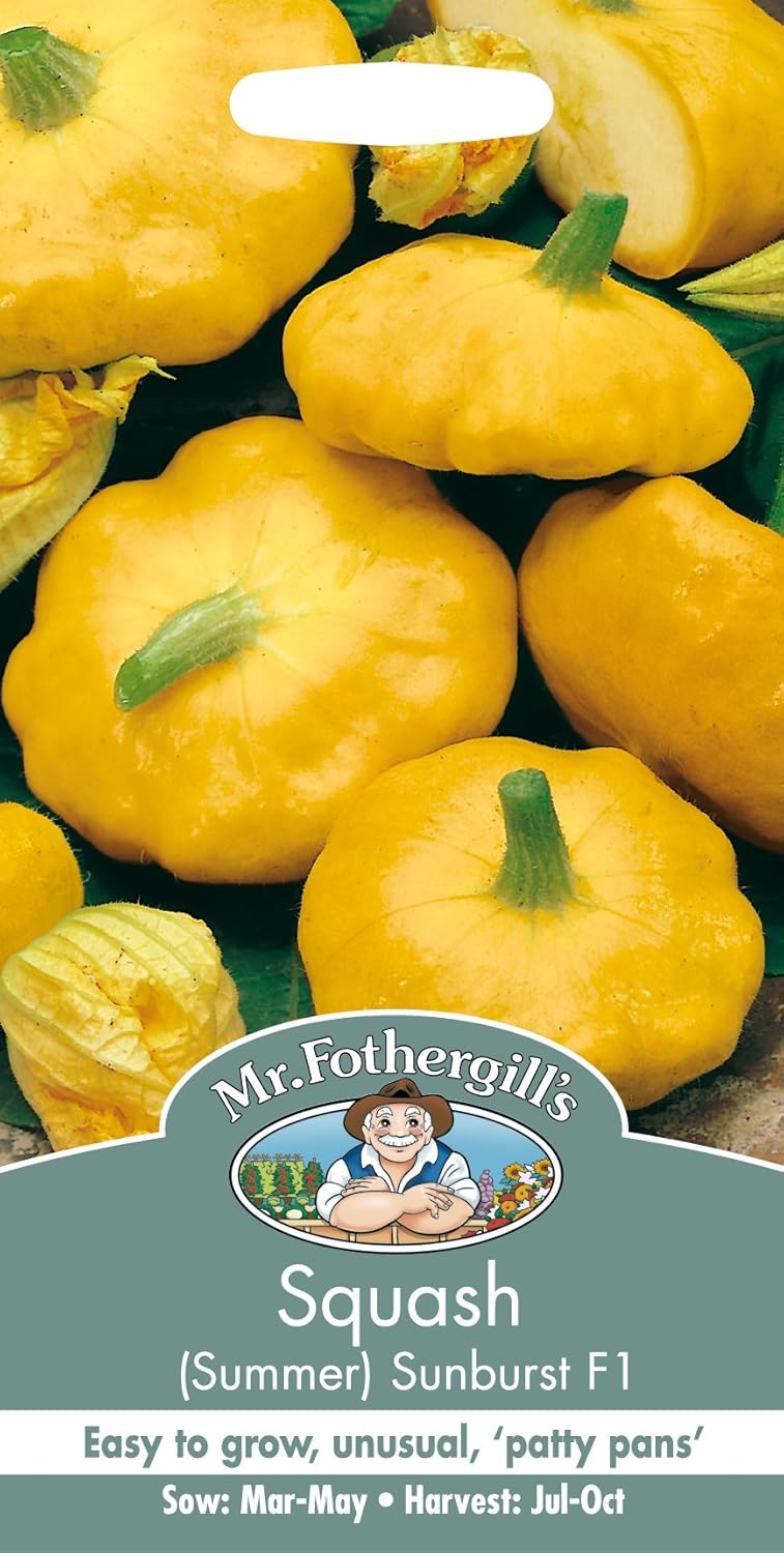 Mr Fothergill's 12760 Vegetable Seeds, Squash (Summer) Sunburst F1 ...