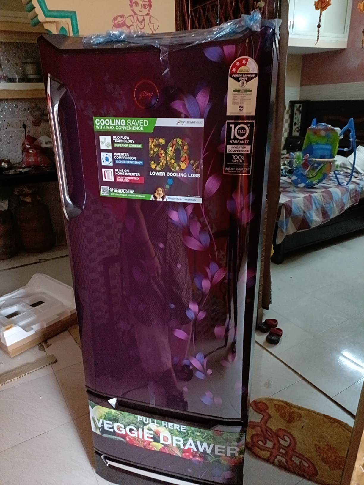 Godrej 255 L 2 Star Inverter Frost-Free Double Door Refrigerator ...