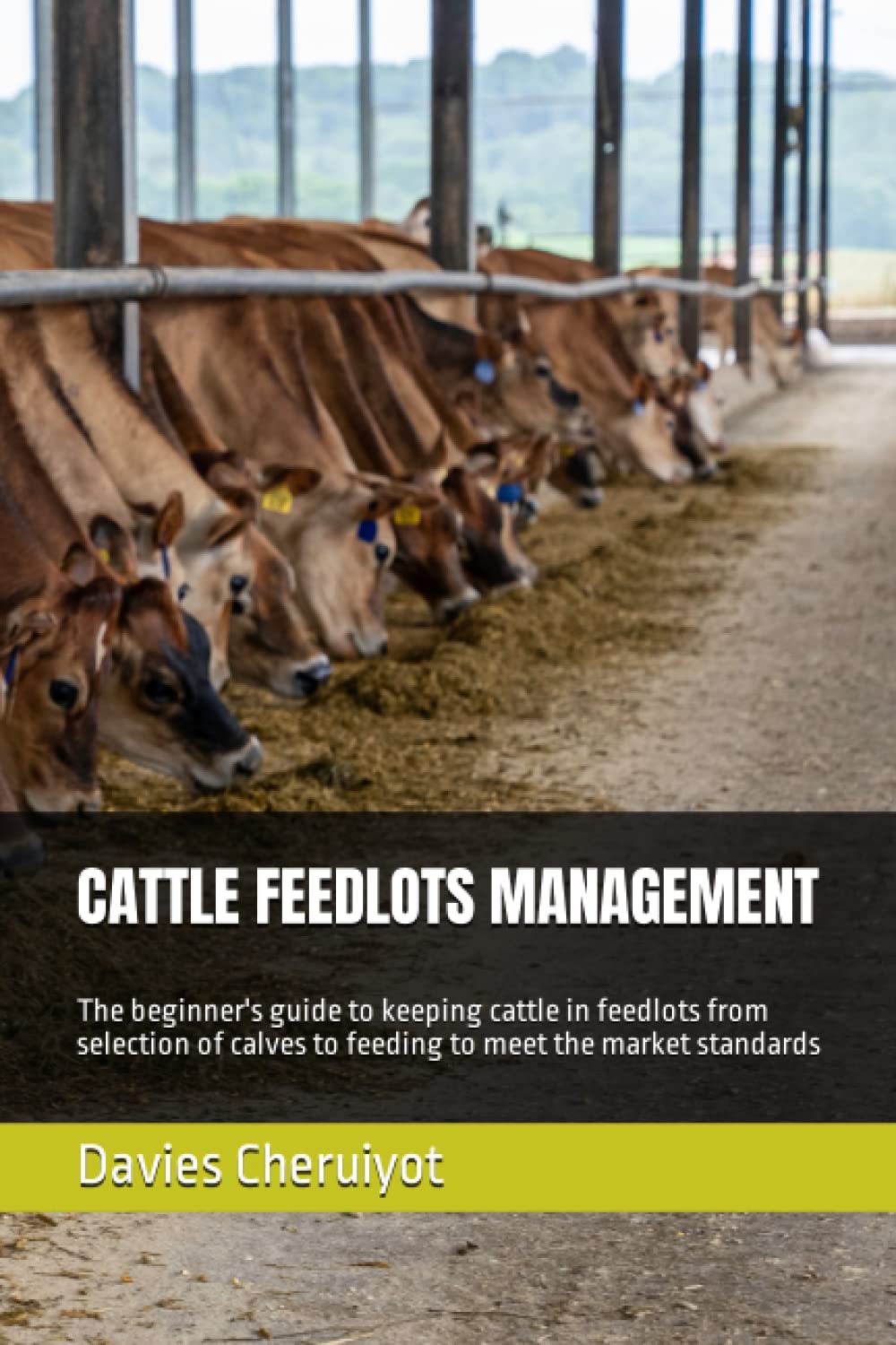 CATTLE FEEDLOTS MANAGEMENT: The beginner's guide to keeping cattle in ...