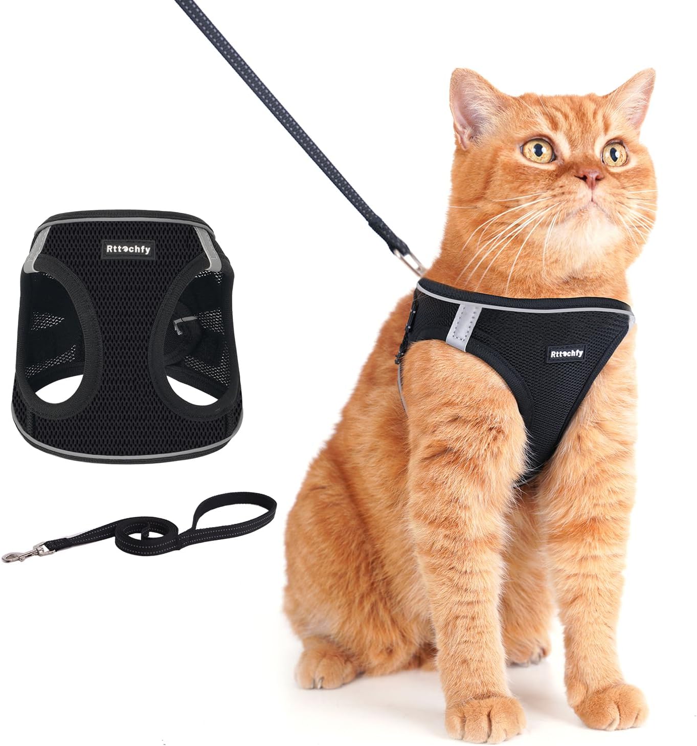 Pet Supplies : Rttochfy Cat Harness and Leash Set, Escape Proof Kitten ...