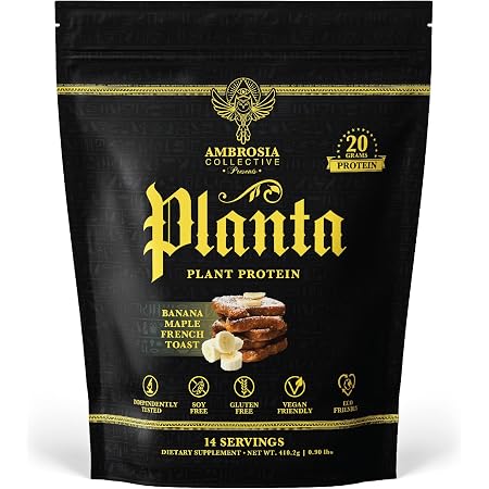 Amazon.com: vedge Certified Organic Plant Protein Vanilla Ice Cream (20 ...