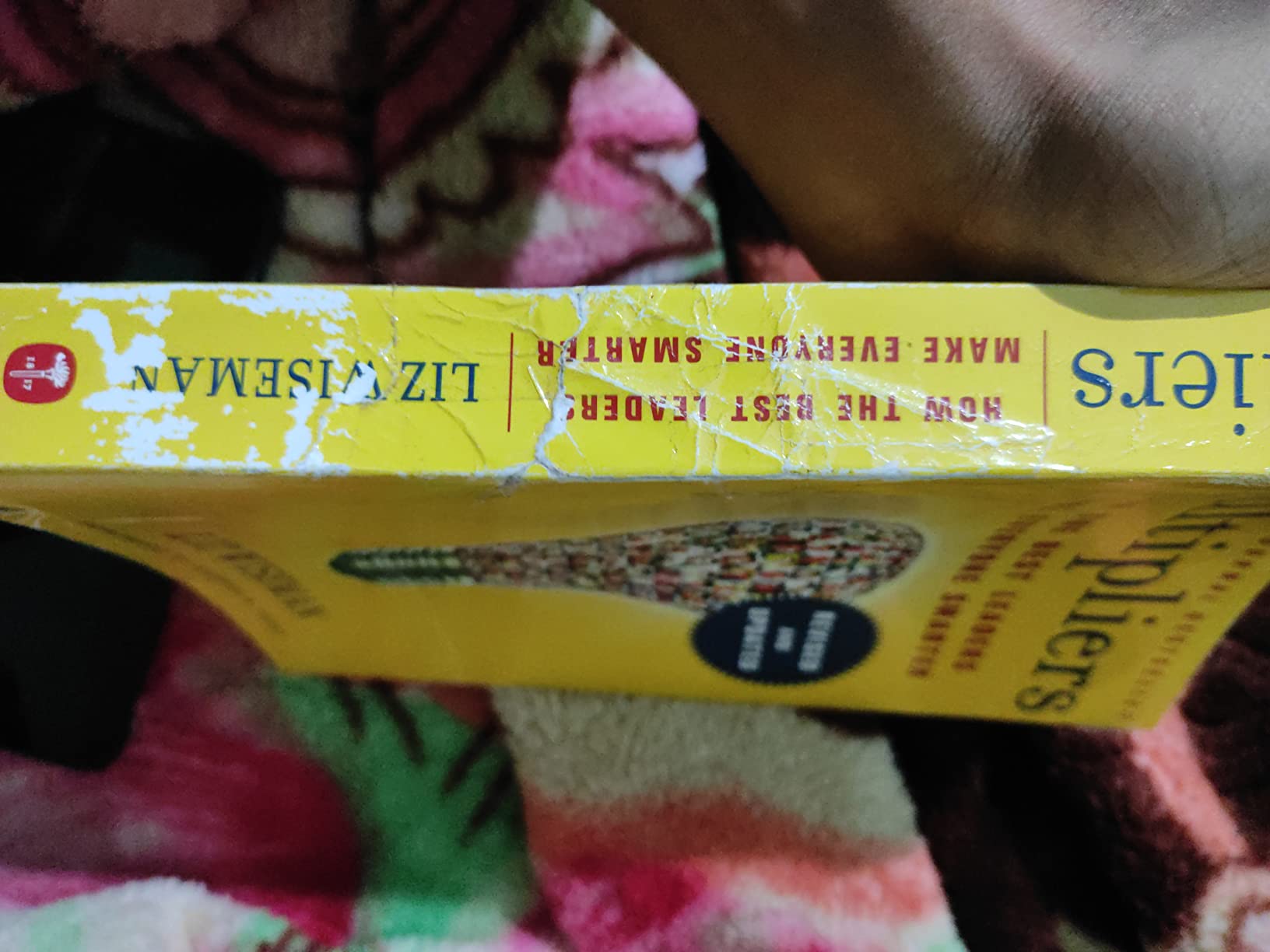 Buy Multipliers: How the Best Leaders Make Everyone Smart (Revised and ...