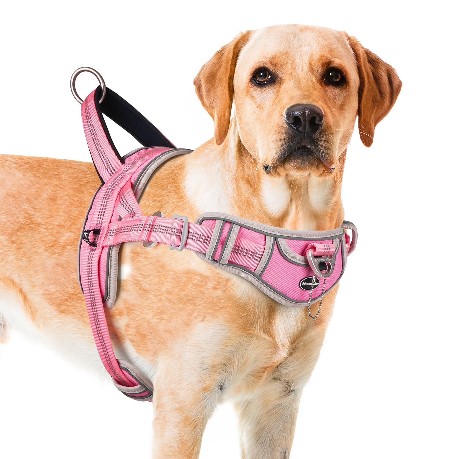 ADVENTUREMORE No Pull Dog Harness for Large Dogs, Sport Dog Halter ...