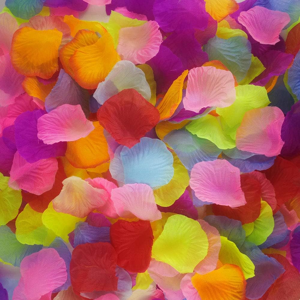 Amazon.com: GUINIFAO Artifical Petals, 1000 Pcs Silk Rose Petals ...