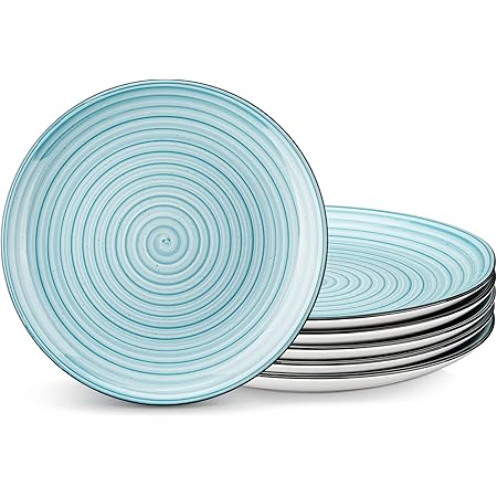 Amazon.com: vancasso Bonbon Dinner Plates Set of 6, 10.5 Inch Dish Set ...