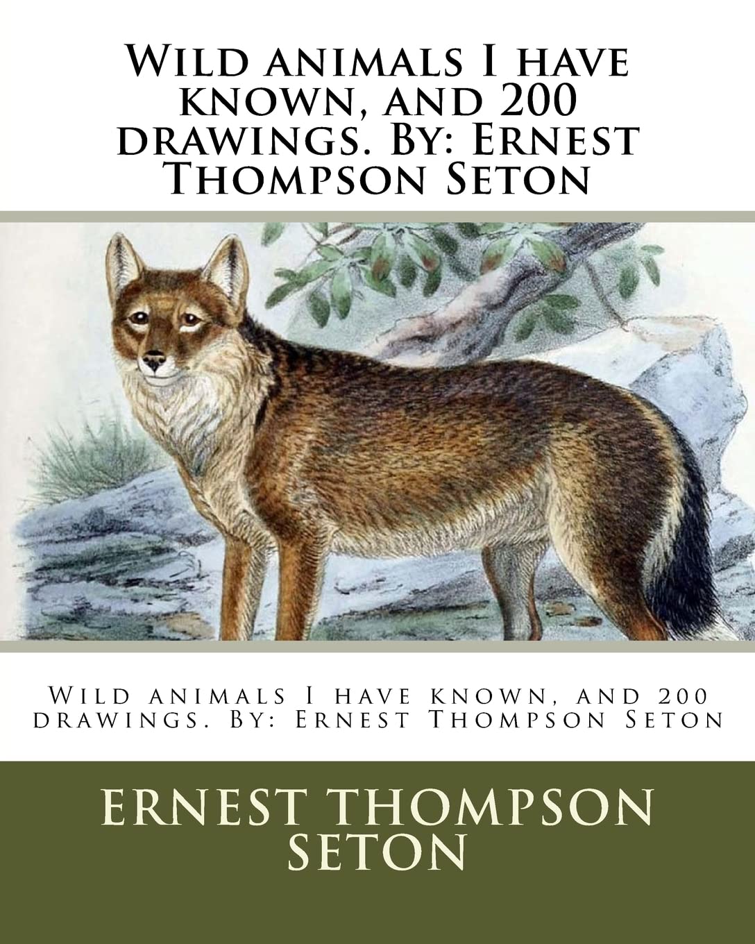 Wild animals I have known, and 200 drawings. By: Ernest Thompson Seton ...
