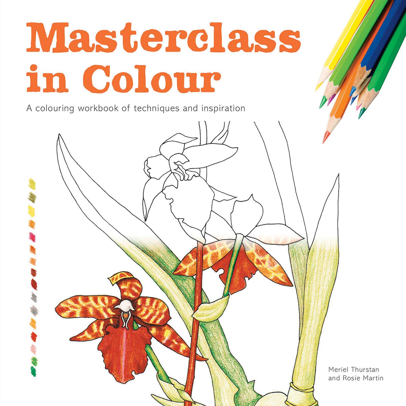 Masterclass in Colour: A Colouring Workbook of Techniques and ...