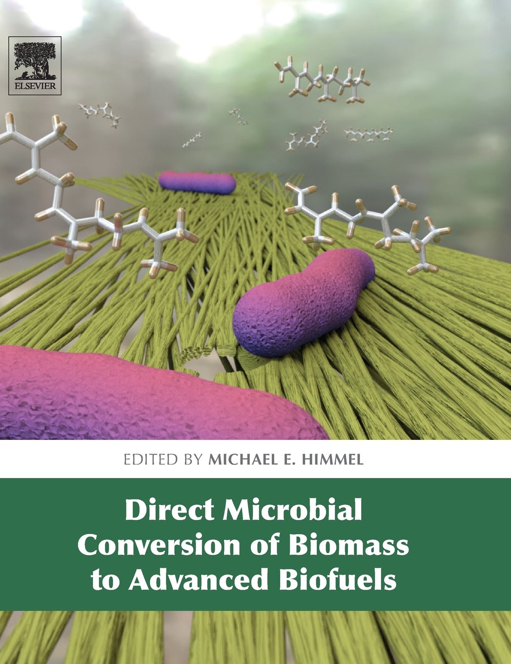 Amazon | Direct Microbial Conversion of Biomass to Advanced Biofuels ...