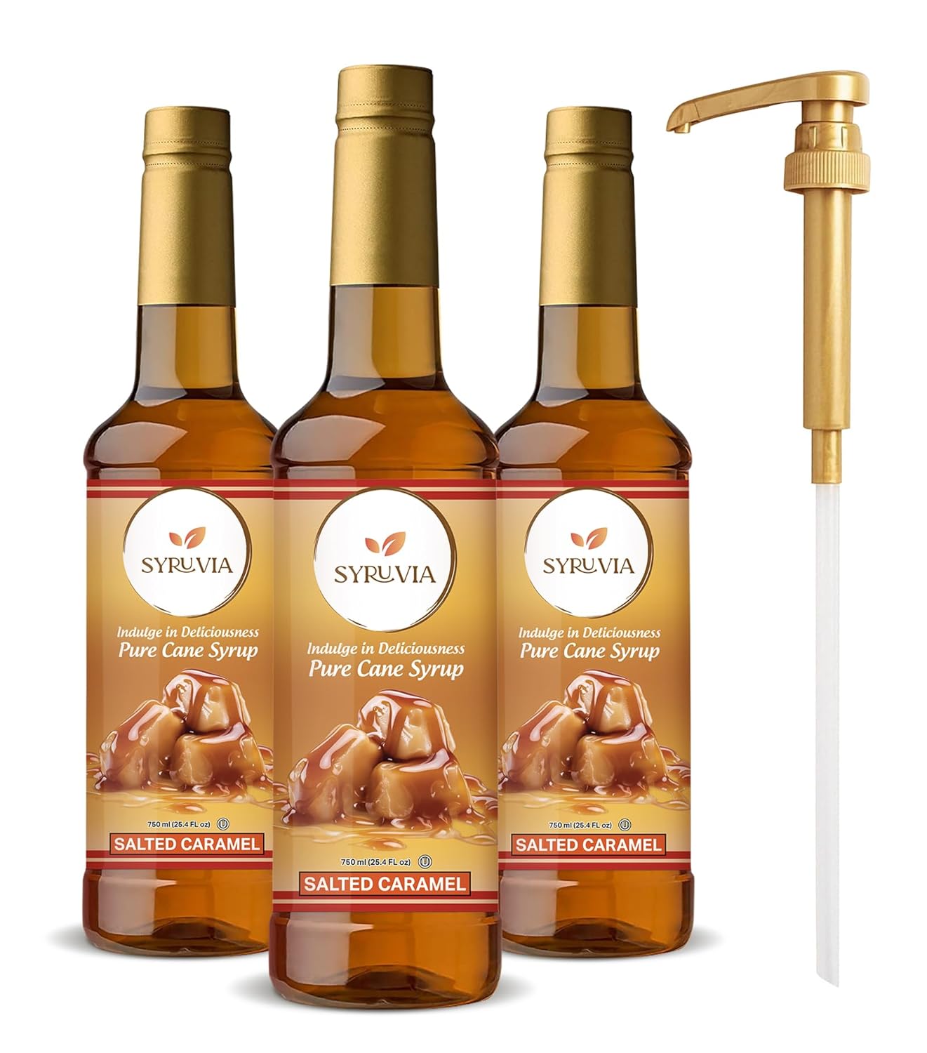 Amazon.com: Syruvia Salted Caramel Coffee Syrup – 25.4 fl oz Syrup for ...