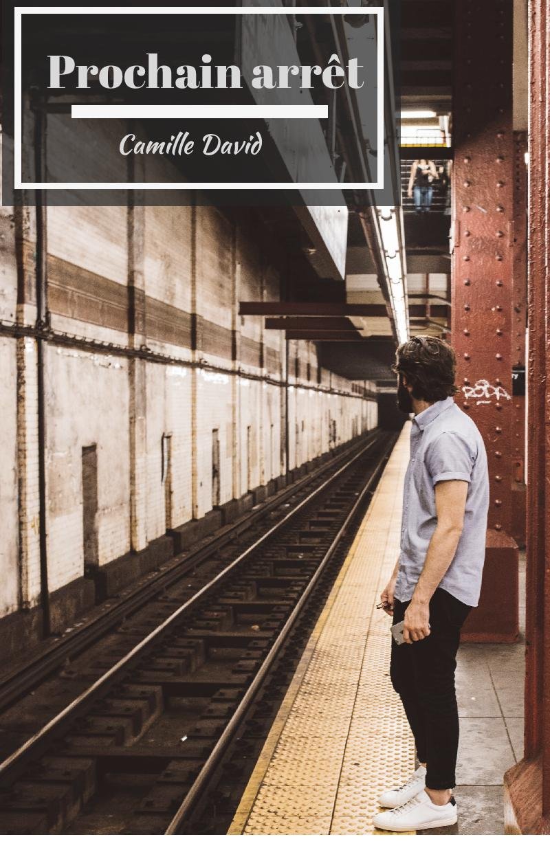 Prochain arrêt (French Edition) eBook : DAVID, Camille: Amazon.in ...