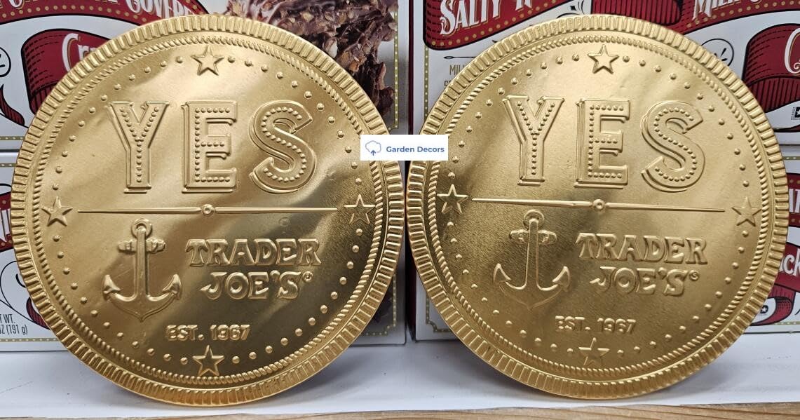Amazon.com : Trader Joe's The Milk Chocolate Coin 3.17oz 90g (Two Coins ...