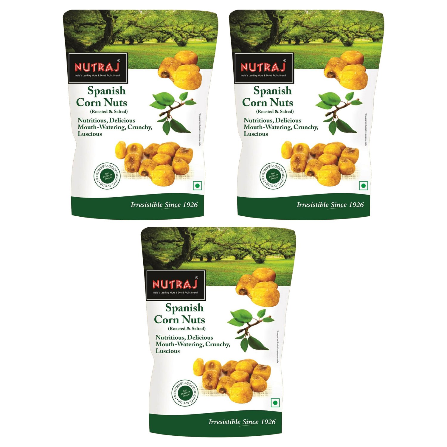 Nutraj Spanish Corn Roasted & Salted 150g | Makka | Popcorn | Snacks ...