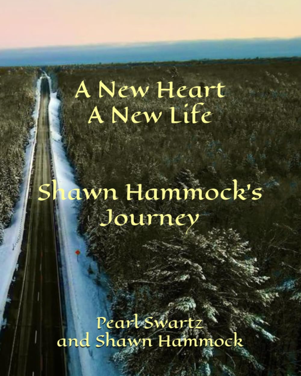 Amazon.com: A New Heart - A New Life: Shawn Hammock's Journey ...