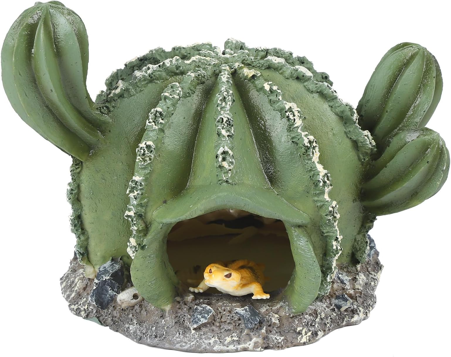 Amazon.com : IBWell Resin Cactus Leopard Gecko Hide Reptile Cave，Desert ...