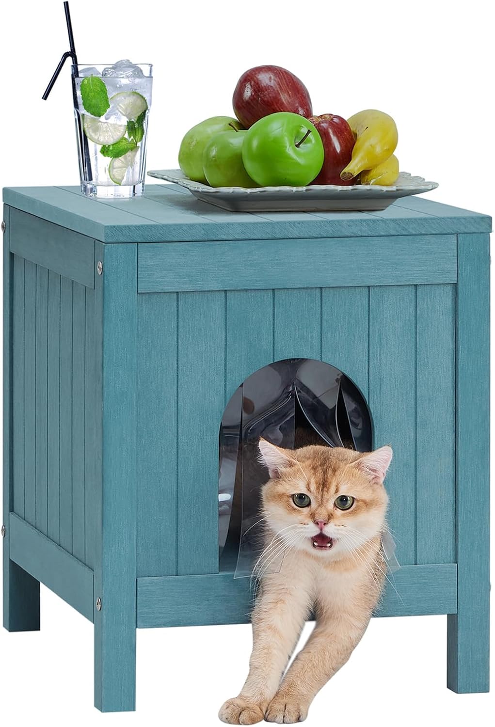 Amazon.com : AACULPET Outdoor Side Table with Cat House, Poly Lumber ...