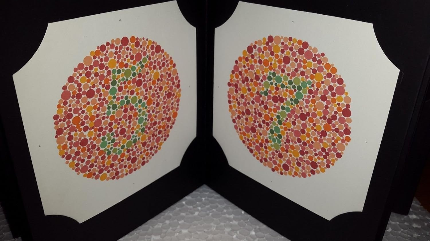 Latest Edition 24 Plate ISHIHARA Tests Book - for Color Blindness ...
