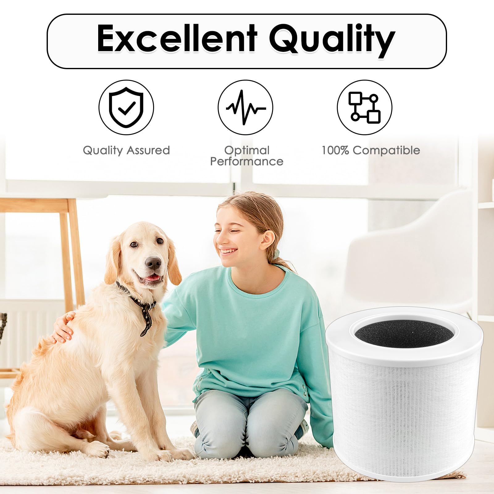 2 Pack Core Mini Replacement Filter Compatible with LEVOIT Core Mini ...