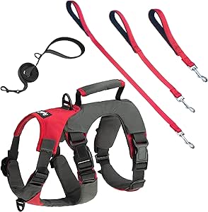Amazon.com : PUPTECK Escape Proof Dog Harness Leash with 3 Packs 2.5ft/ 1.5ft/ 1ft Nylon Leash ...
