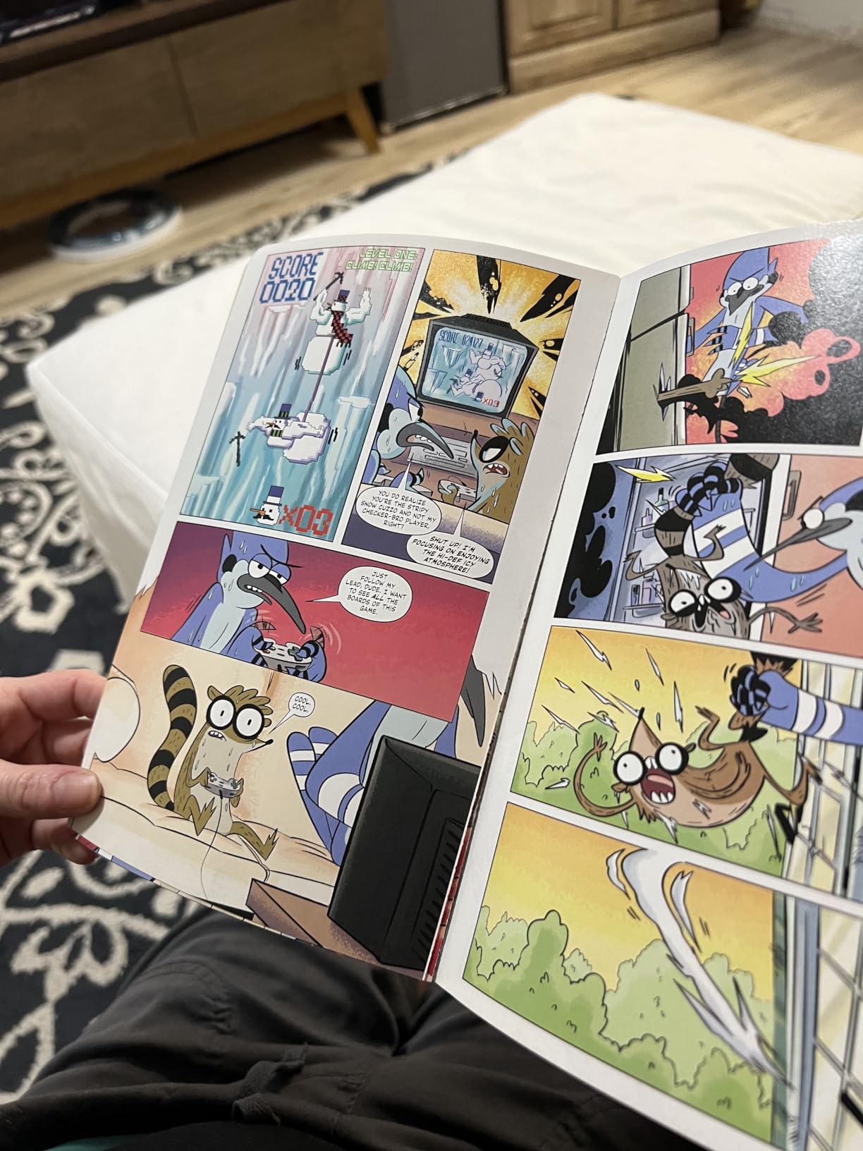 Amazon.com: Regular Show Original Graphic Novel Vol. 1: Hydration (1 ...