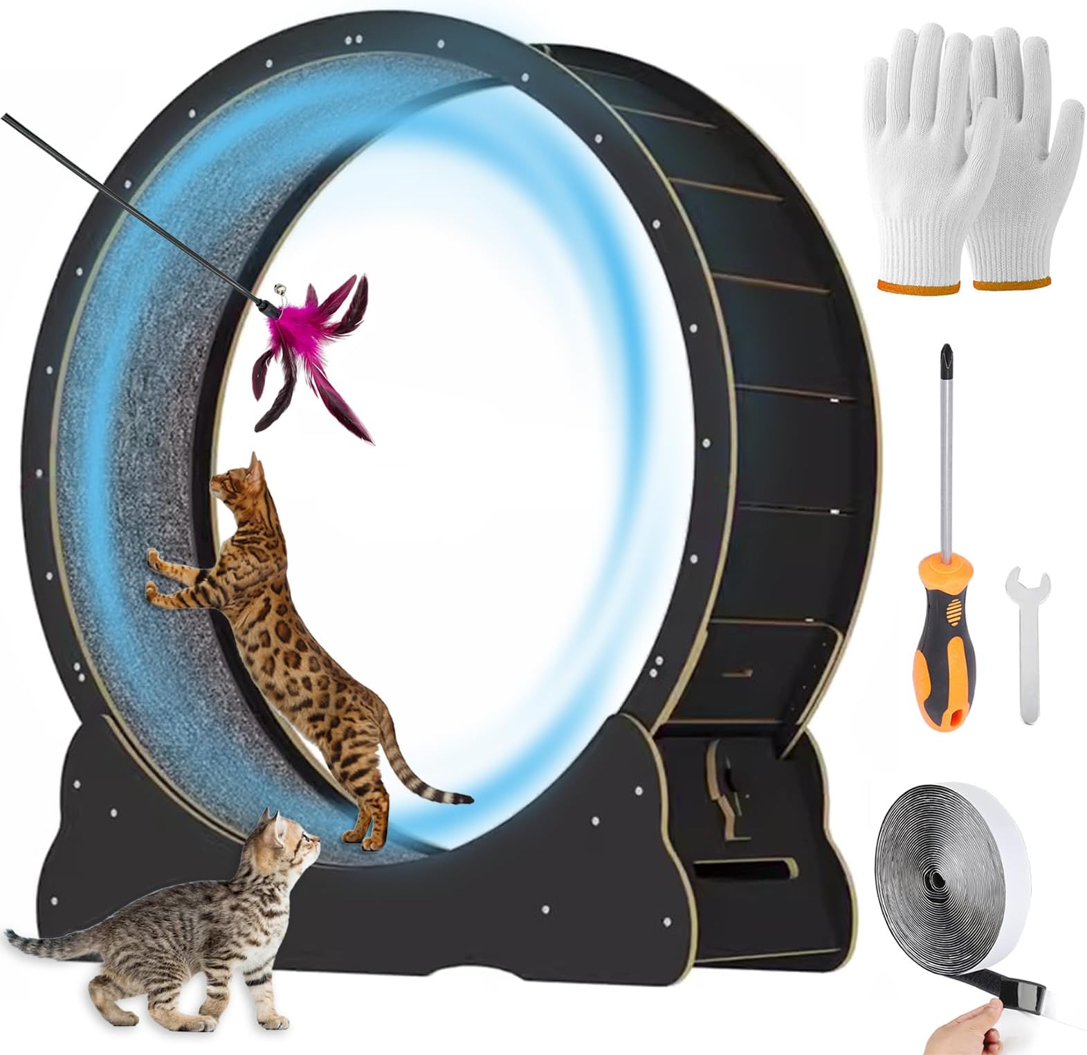 Amazon.com : Homegroove Cat Wheel Cat Exercise Wheels for Indoor Cats ...
