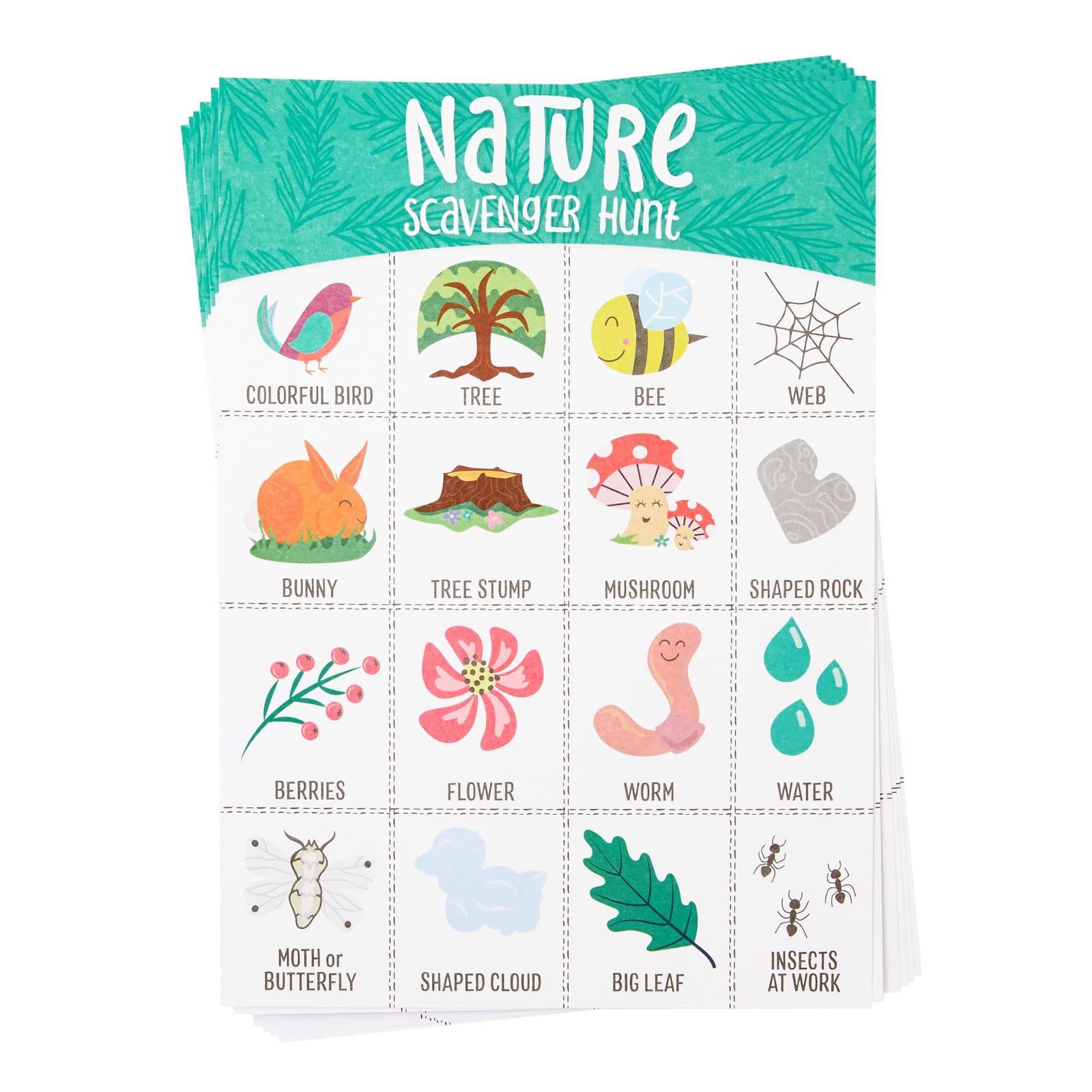 50 Pack Nature Find and Seek...B07H28NZDW | Encarguelo.com