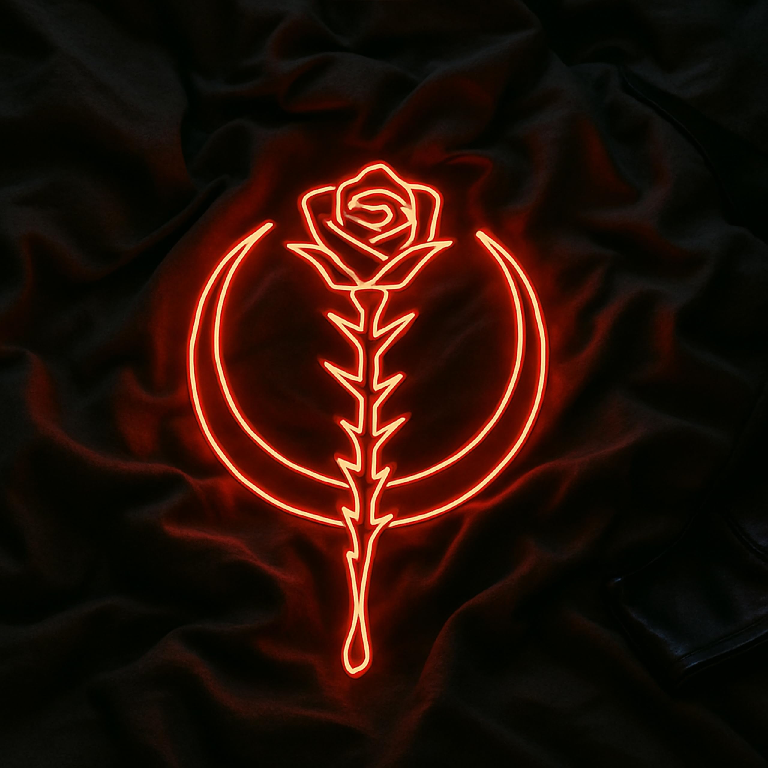 Ride The Biker song by Ruby Darkrose from Ride The Biker on Amazon Music