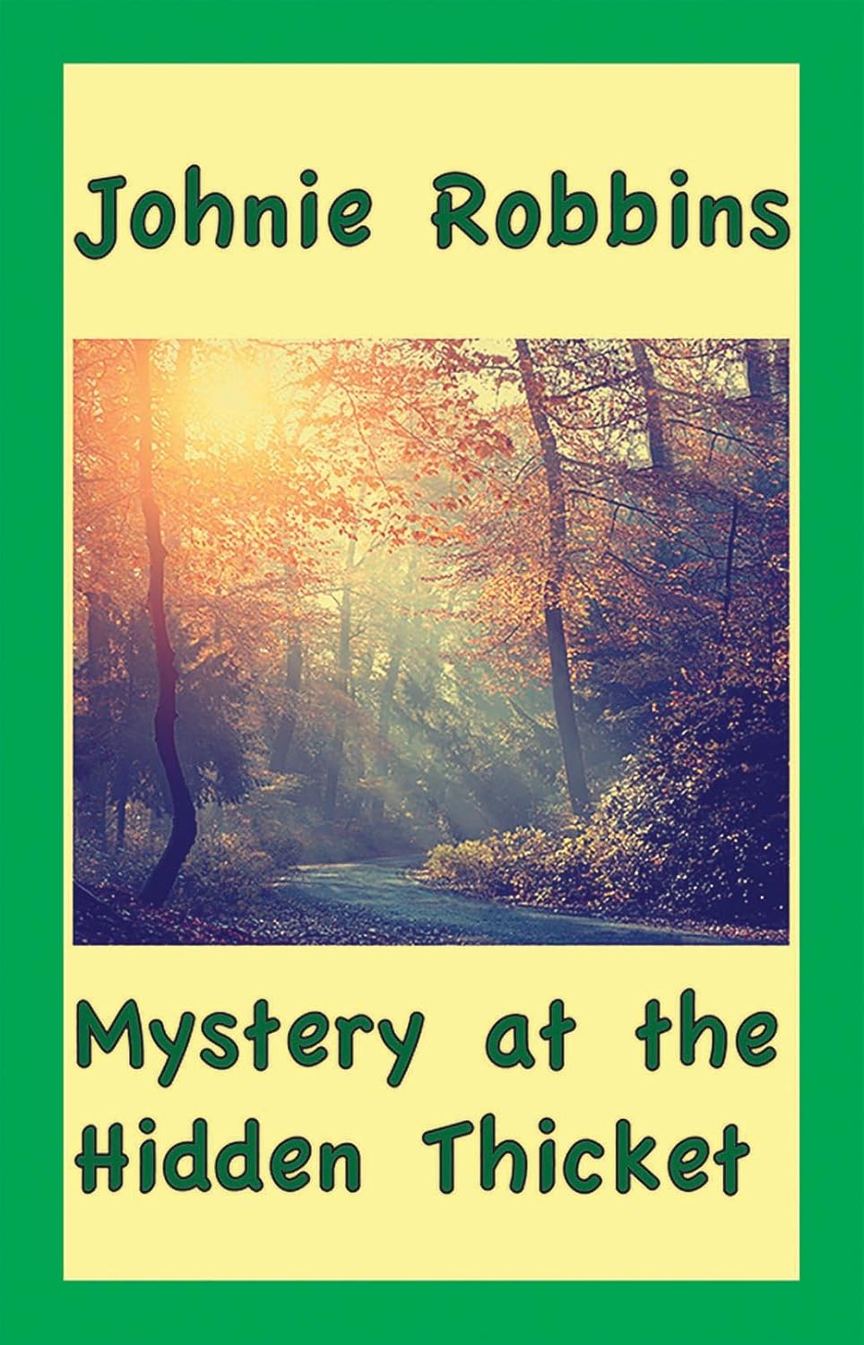 Mystery at the Hidden Thicket eBook : Robbins, Johnie: Amazon.in ...