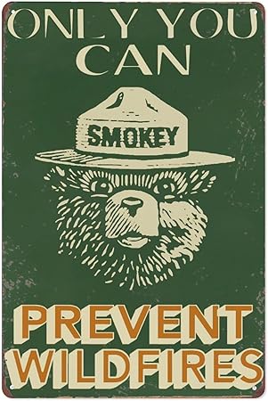 Amazon.com: Smokey Bear Only You Can Prevent Wildfires Sign Metal Tin ...