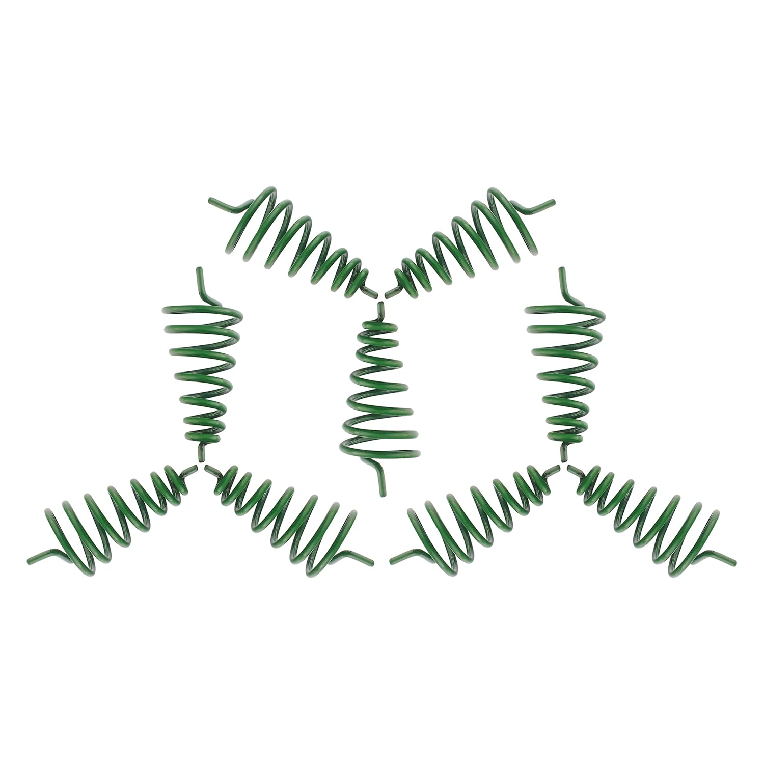 Buy Vastu Vardan Green Spring (Set-9) | Clock Wise Spring | Vastu ...