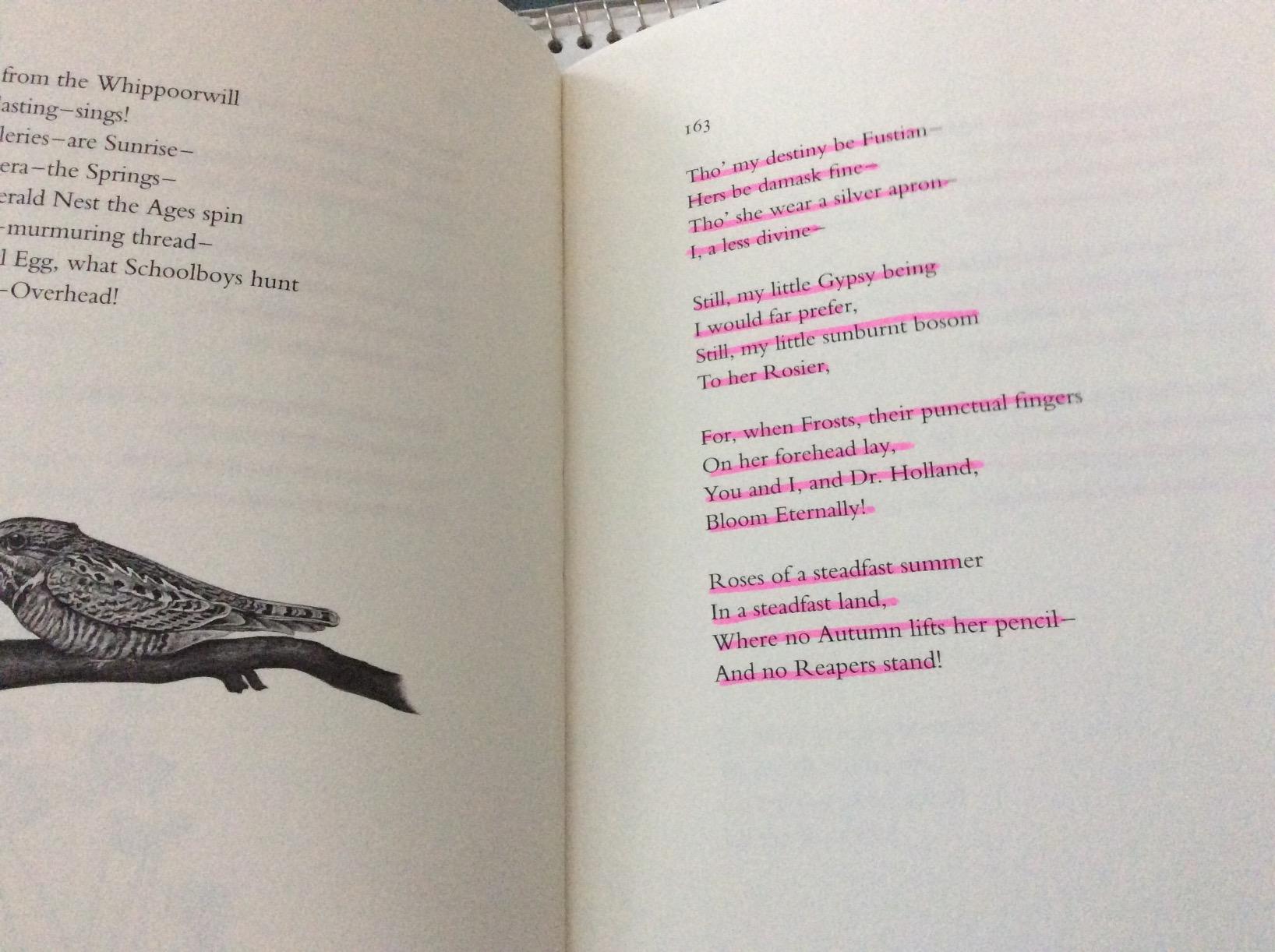 A Murmur in the Trees: Cook, Ferris, Dickinson, Emily: 9780821225004 ...