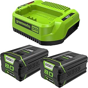 Amazon.com: Greenworks 80V 2 Pack 2.5Ah Lithium-Ion Battery (Genuine ...