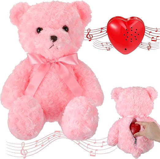 Amazon.com: Hungdao 2 Pcs Bear Stuffed Animals with Voice Recorder Set ...