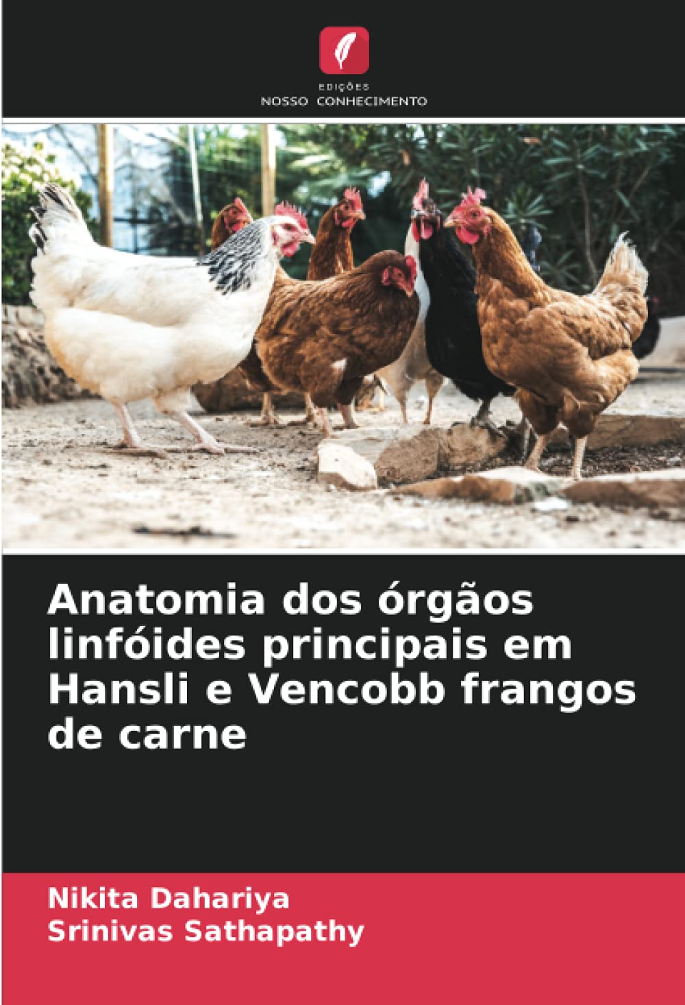 Anatomia Dos Orgaos Linfoides Principais Em Hansli E Vencobb Frangos ...