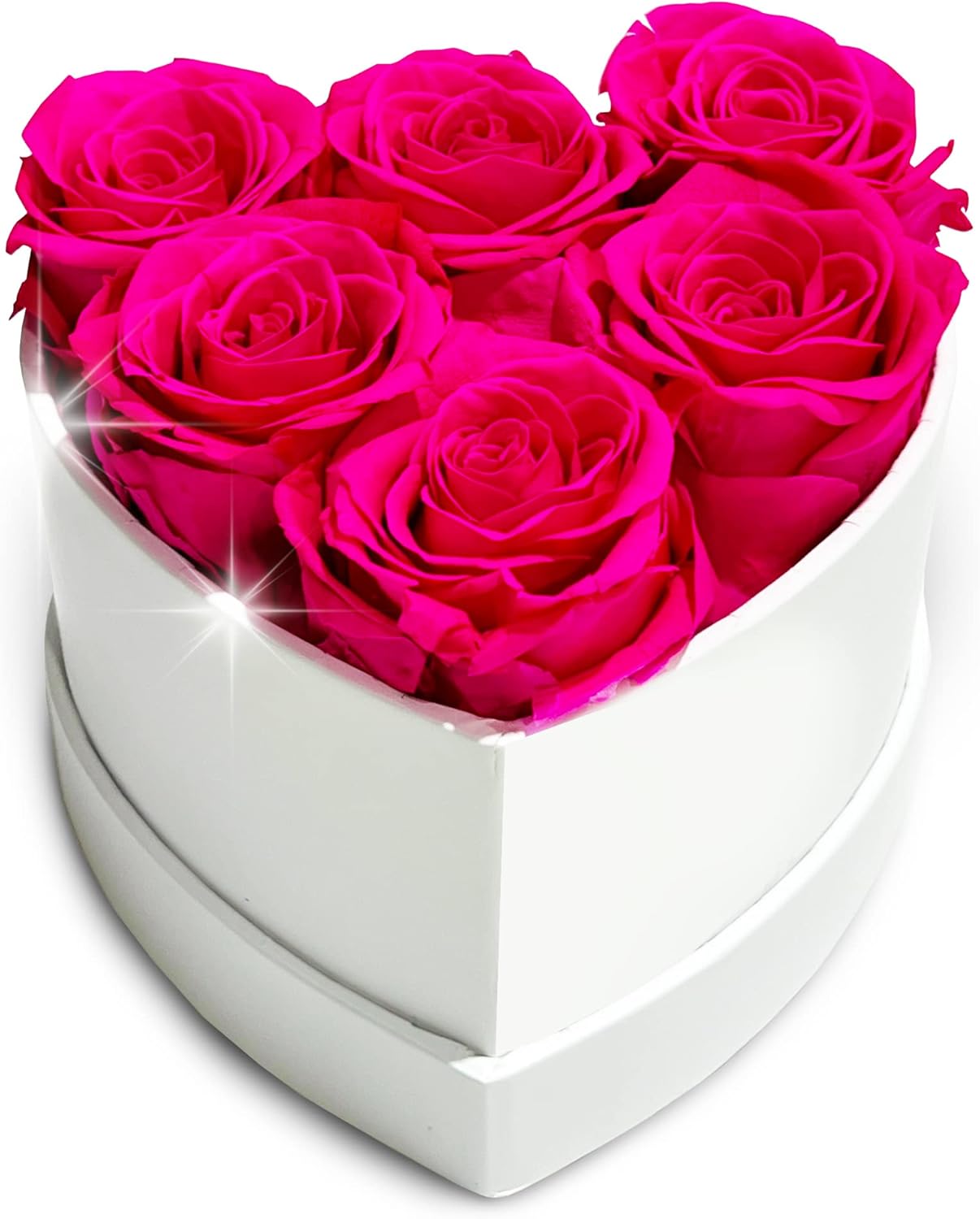 Amazon.com: Ruler Follower Heart Shaped Infinite Rose Box - Genuine ...