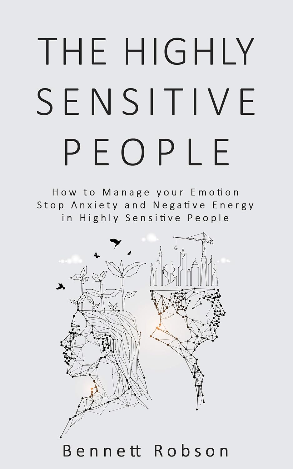 Amazon.com: The Highly Sensitive People: How to Manage your Emotion ...