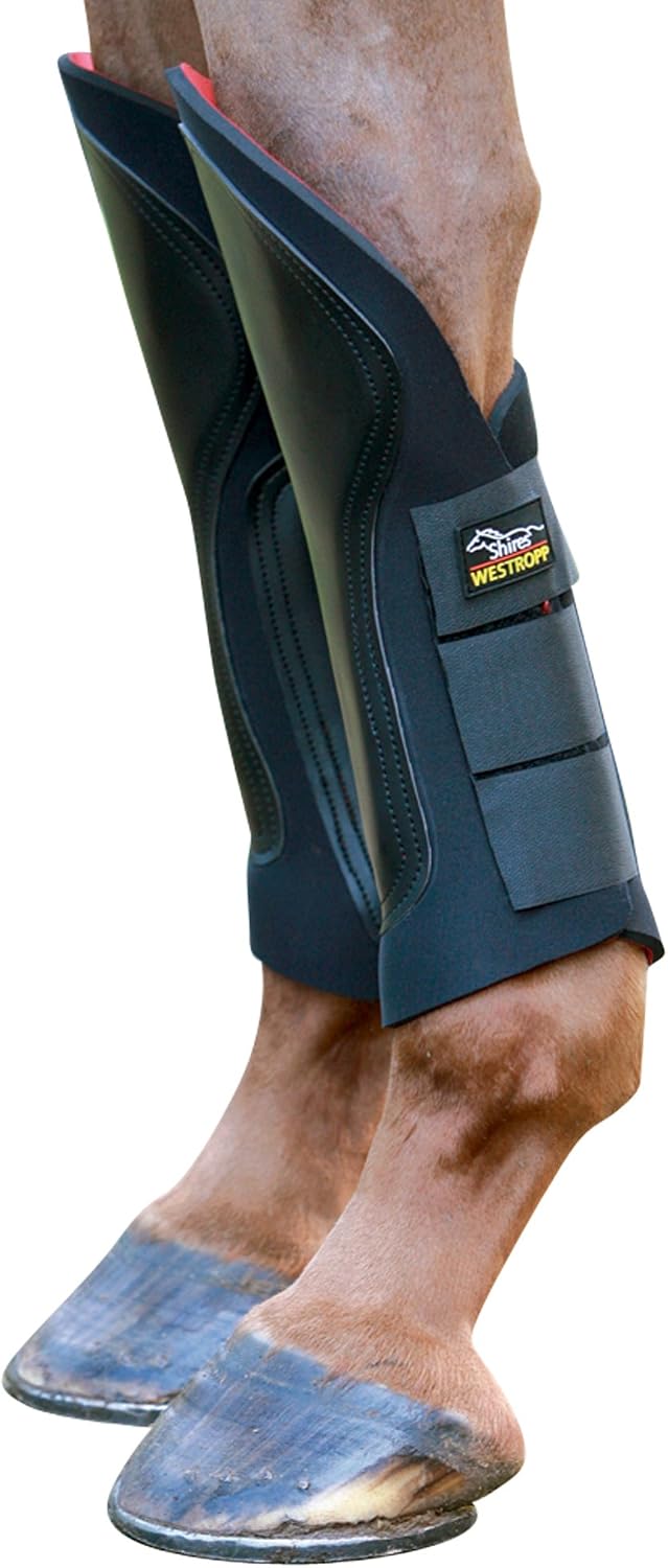 Westropp Knee Brushing Boot: Black: Cob : Amazon.co.uk: Sports & Outdoors