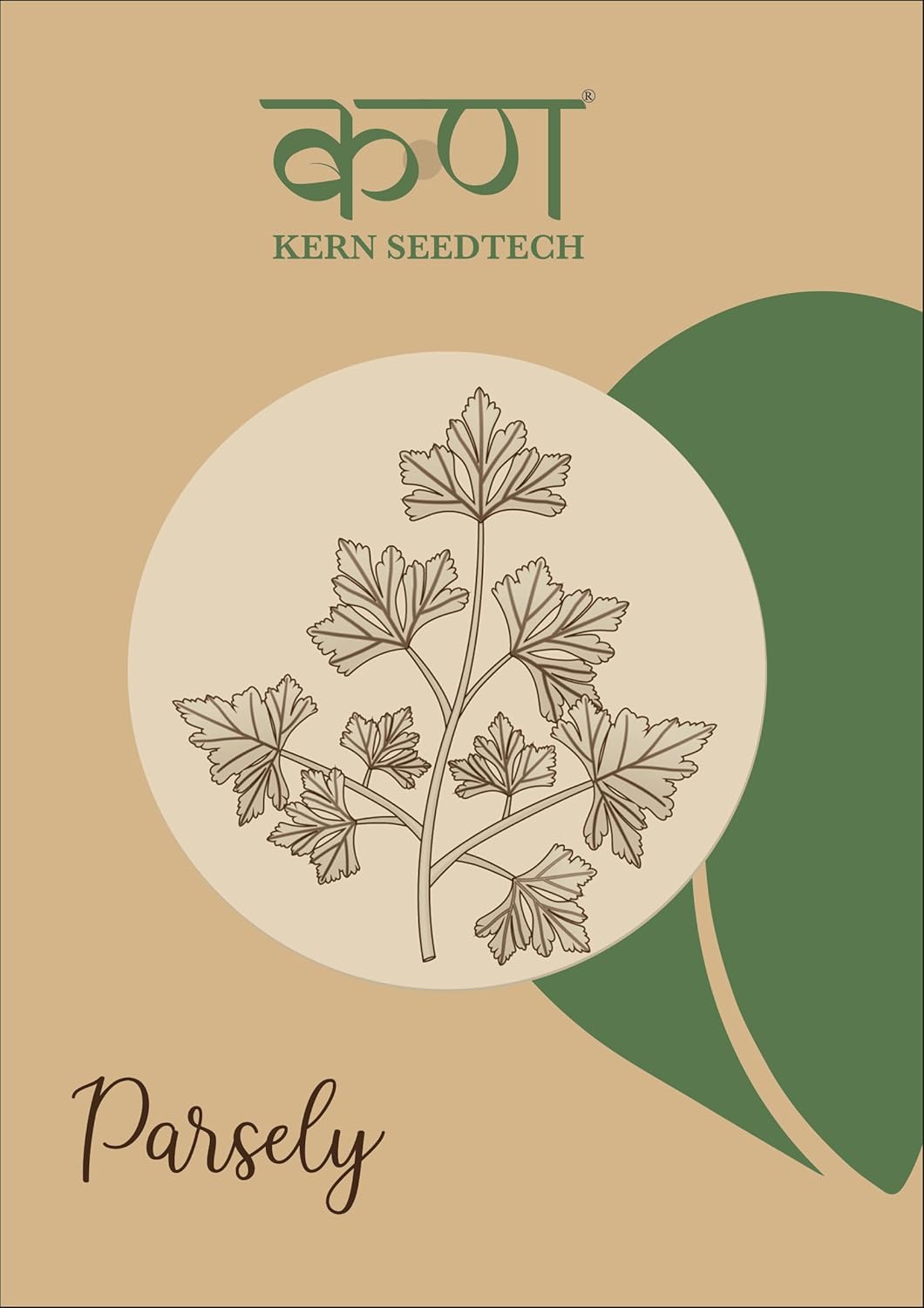 Kern SeedTech Organic Parsley Seeds Exotic Pack of 425 Seeds | High Germination Rate | Non-GMO ...