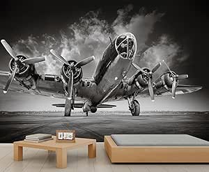 Amazon.com: Vintage Aircraft Mural Large Medieval Airplane Wall Murals ...