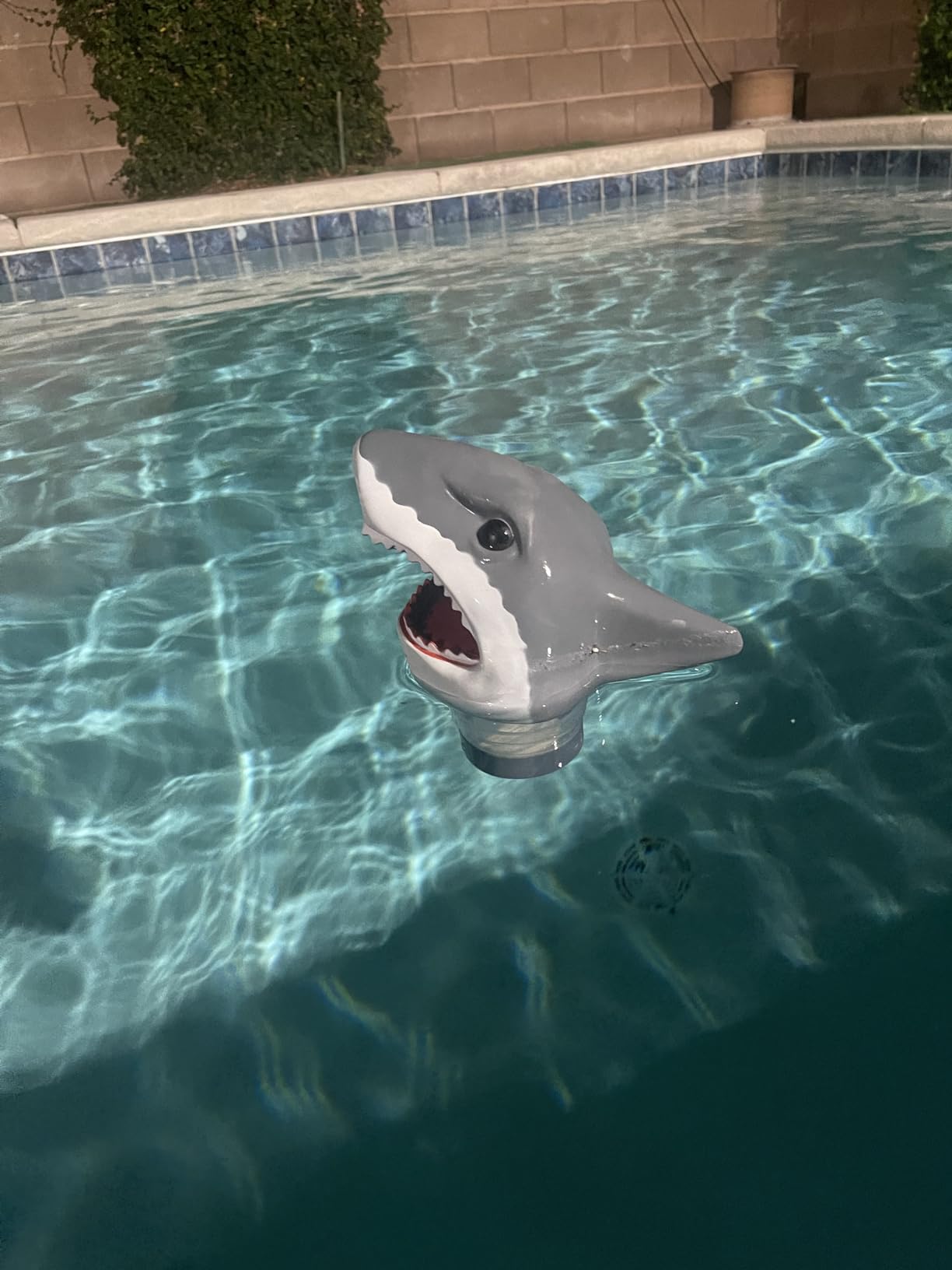 $3/mo - Finance U.S. Pool Supply Kitty Cat Floating Pool Chlorine ...