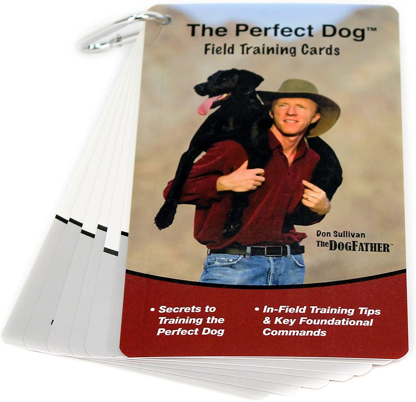 Amazon.com: The Perfect Dog Don Sullivan's Secrets to Training Dogs ...