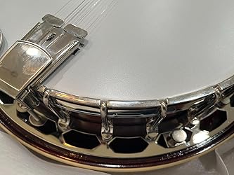 Amazon.com: Recording King RK-R20 Songster Banjo : Musical Instruments