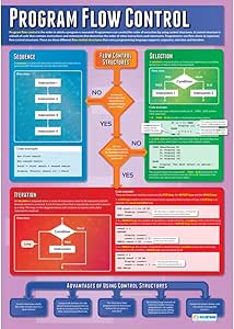 Program Flow Control | Computer Science Posters | Laminated Gloss Paper ...