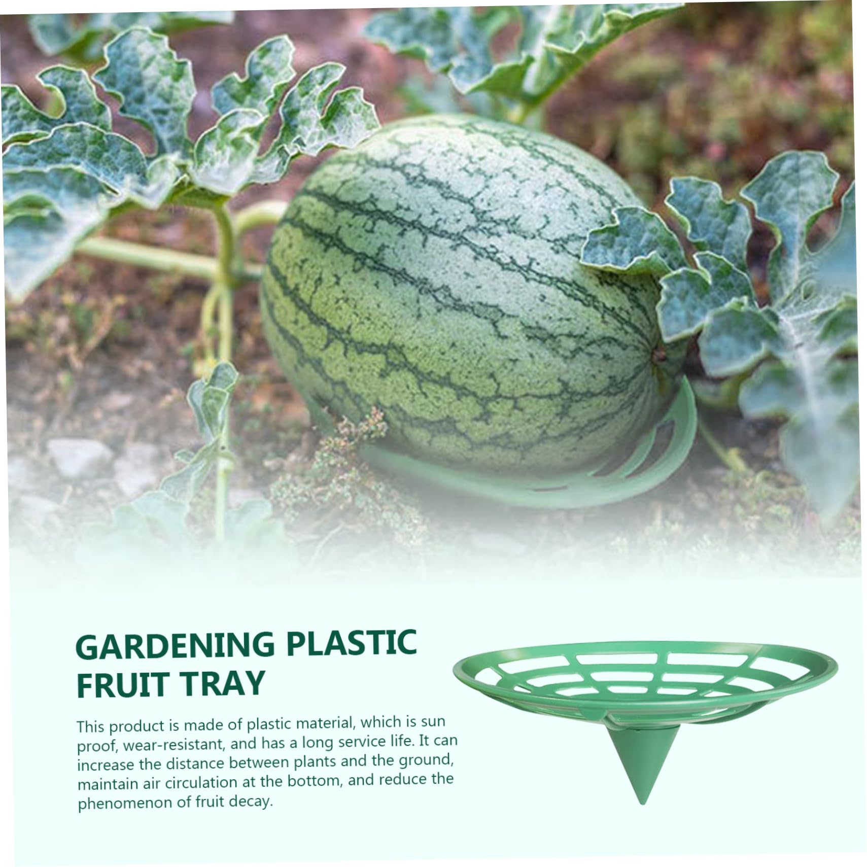 Melon Garden Plant Support