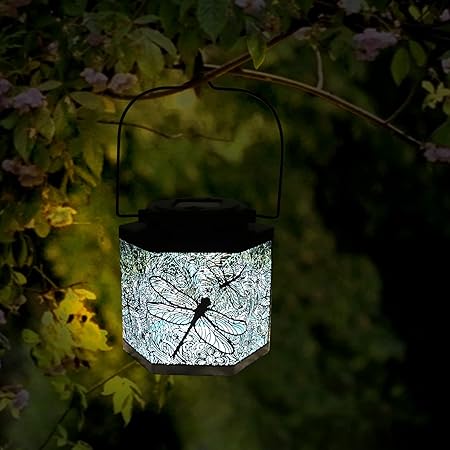 Amazon.com: ielevations Hanging Dragonfly Solar Lanterns Decor Outdoor ...