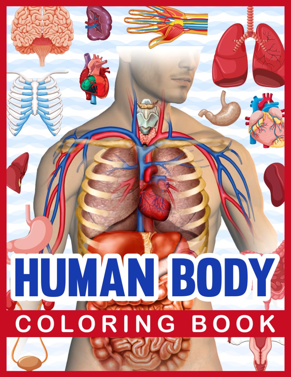 Amazon.com: Human Body Coloring Book: Human Body Human Anatomy Coloring ...